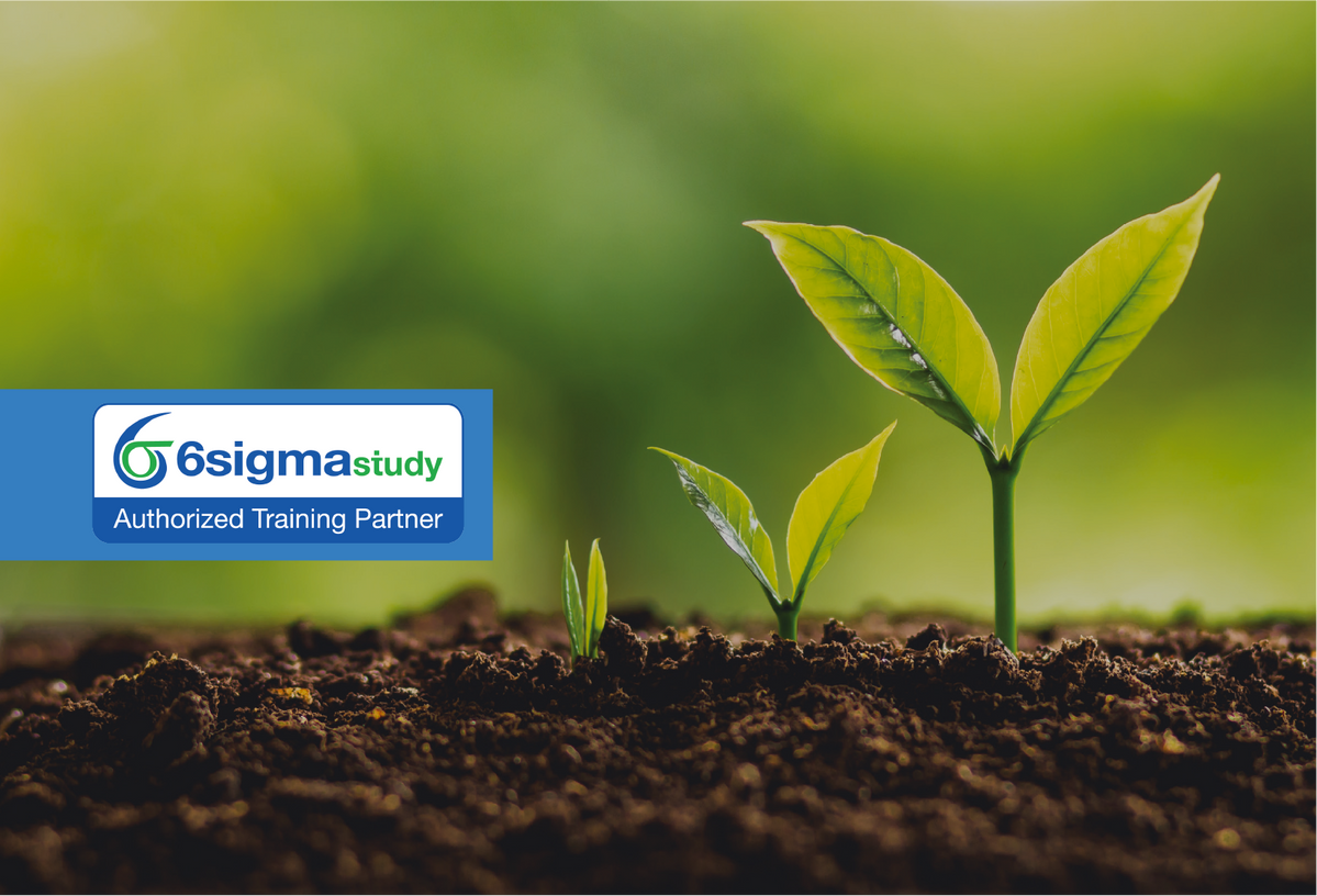 Shop Six Sigma at Nanfor | Nanfor